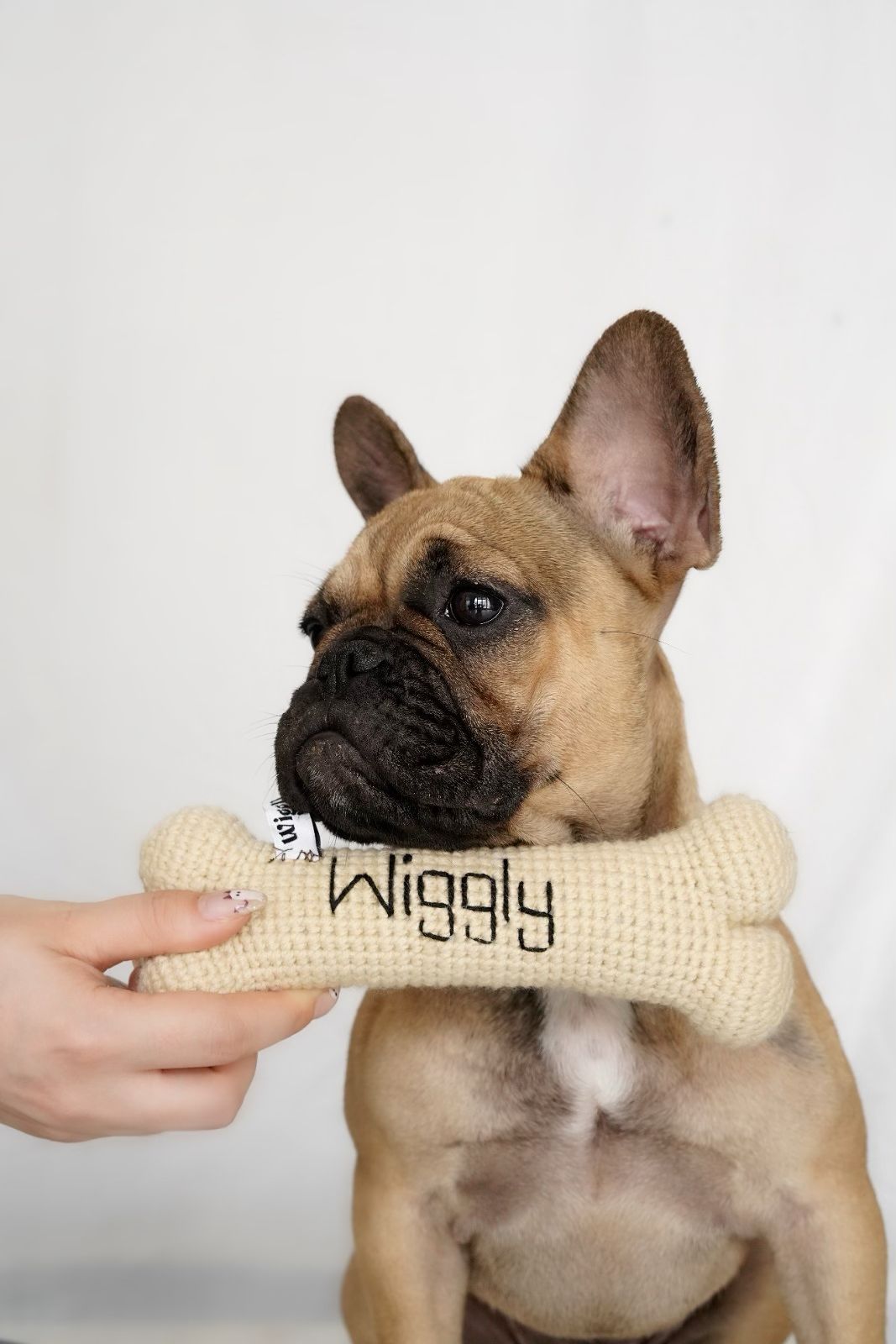WigglyButt | Wiggly Bone | Free Delivery over 4000 PKR! – Wiggly Butt